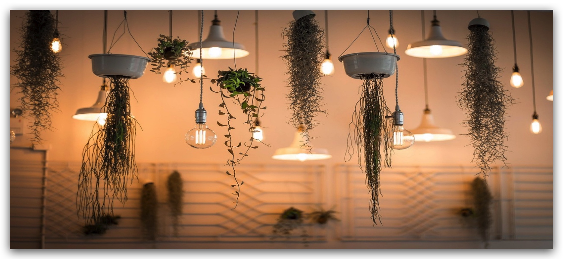 Octopus Electrical & HVAC - Professional Electrical Services